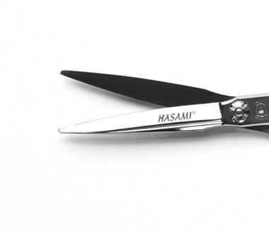 chameleon_klinge01 – Hasami